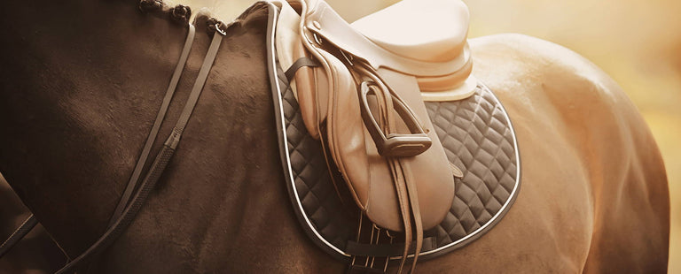 The Complete Guide To Proper Saddle Pad Sizing – Kavallerie